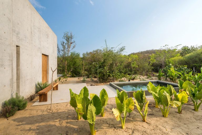 Uma casa isolada no meio da Natureza de Puerto Escondido